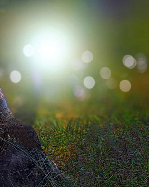 Bokeh New Photoshop Background HD For Free Editing Images | KREditings