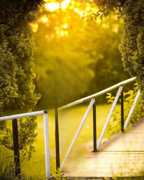 Photoshop Editor Yellow Background Images Hd Pictures | KREditings