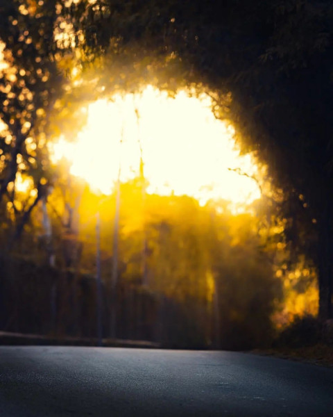 Sunset Nature Wallpapers HD Background For Editing | KREditings