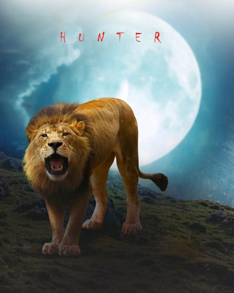 Viral Photoshop Lion Editing CB Background Images | KREditings