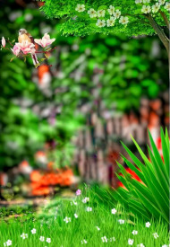 Nature Blur CB Editing Green Background For PicsArt Photo | KREditings